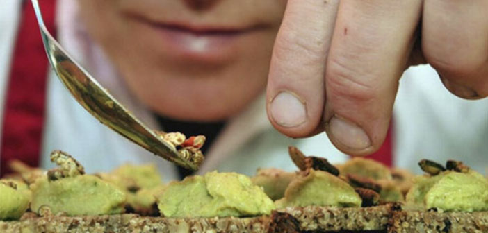 Los platos elaborados con insectos entran en la cocina europea ...
